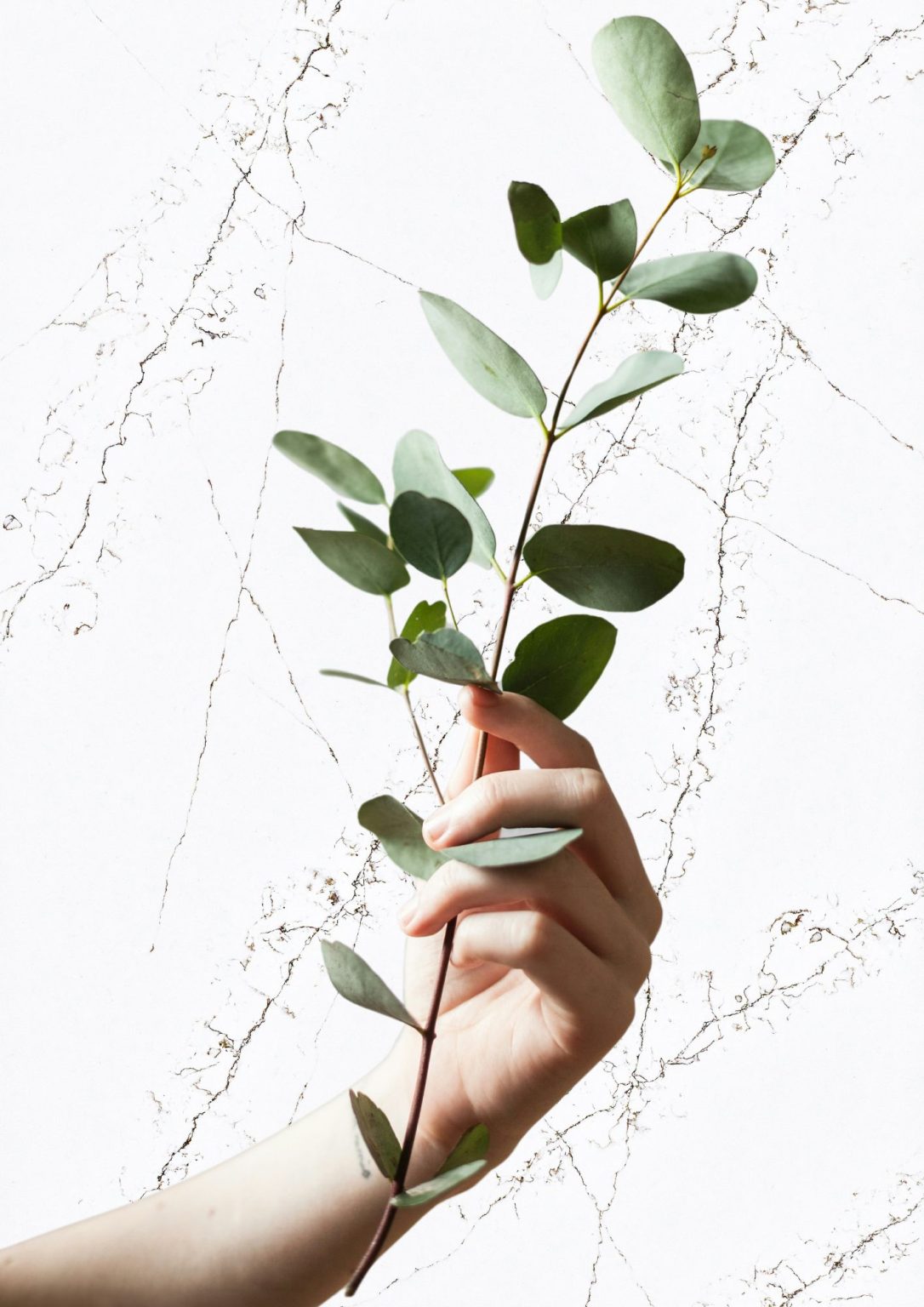 Technologies - Alpha Zero Surfaces