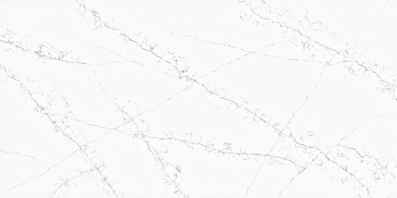 ALL COLLECTIONS - Alpha Zero Surfaces