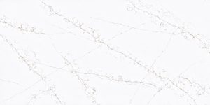 ALL COLLECTIONS - Alpha Zero Surfaces