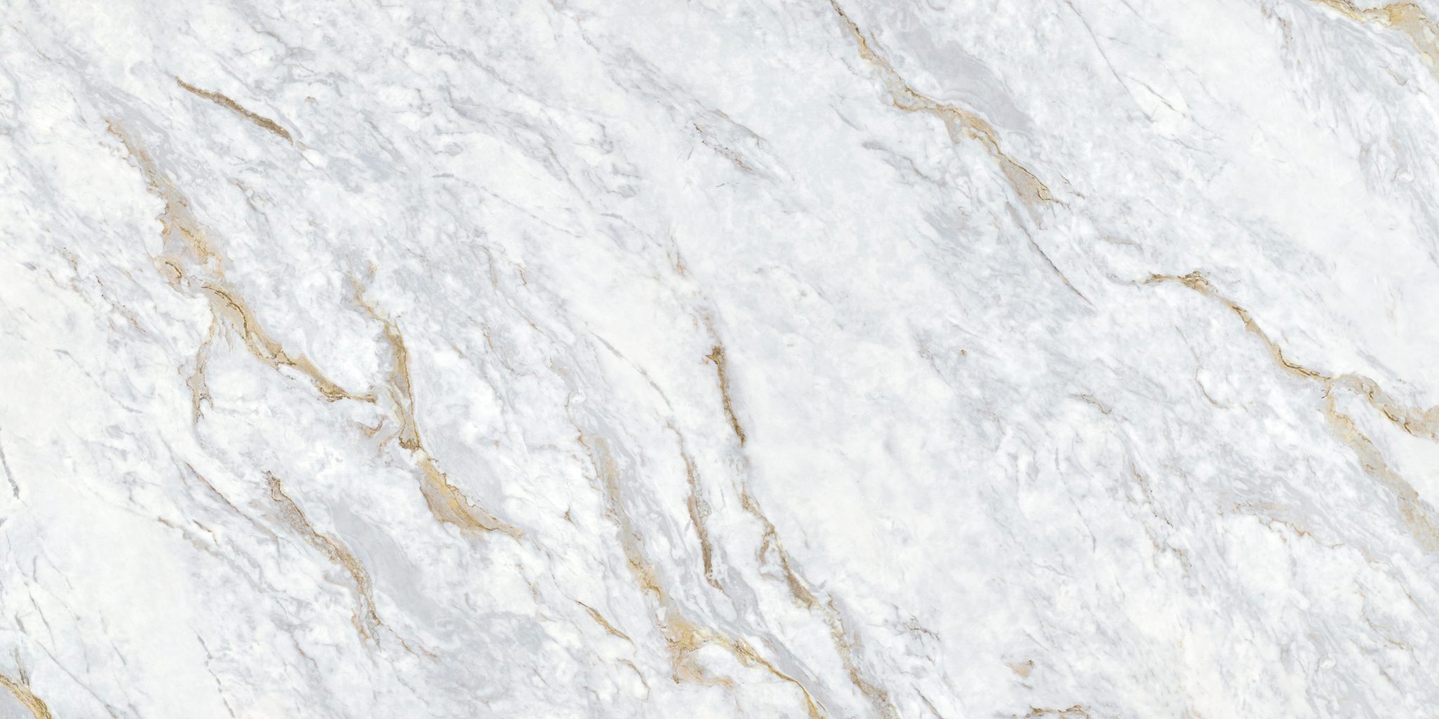 ALL COLLECTIONS - Alpha Zero Surfaces