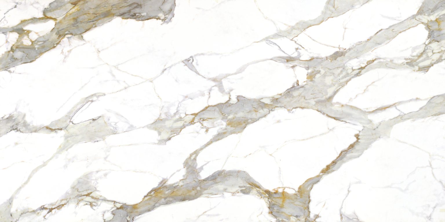 ALL COLLECTIONS - Alpha Zero Surfaces