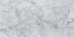 ALL COLLECTIONS - Alpha Zero Surfaces